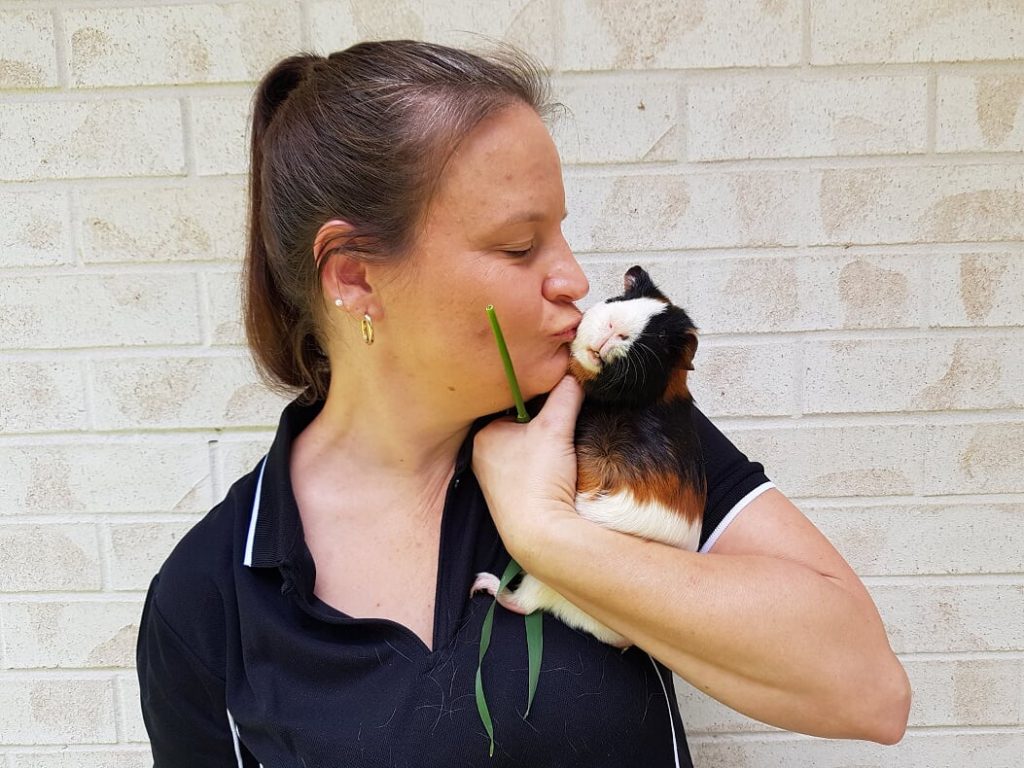 Guinea pig with the $7000 smile - Sunshine Coast News