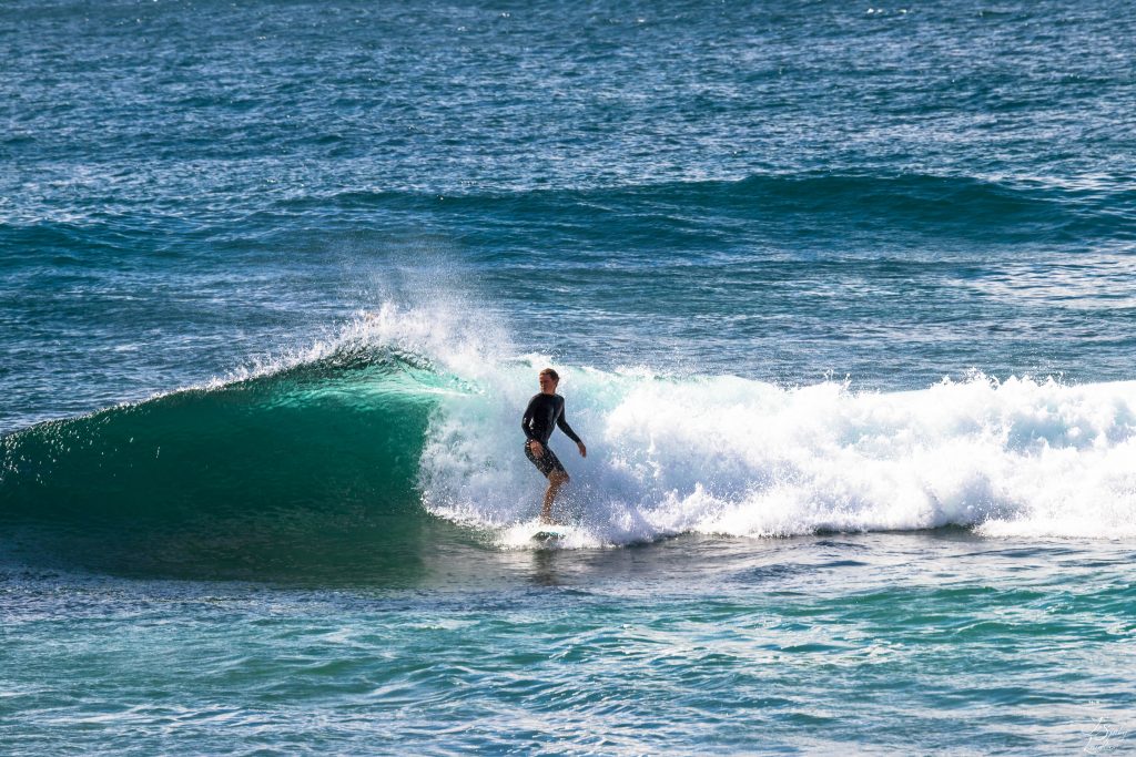 Sunshine Coast news, greet bold new dawn in FREE media