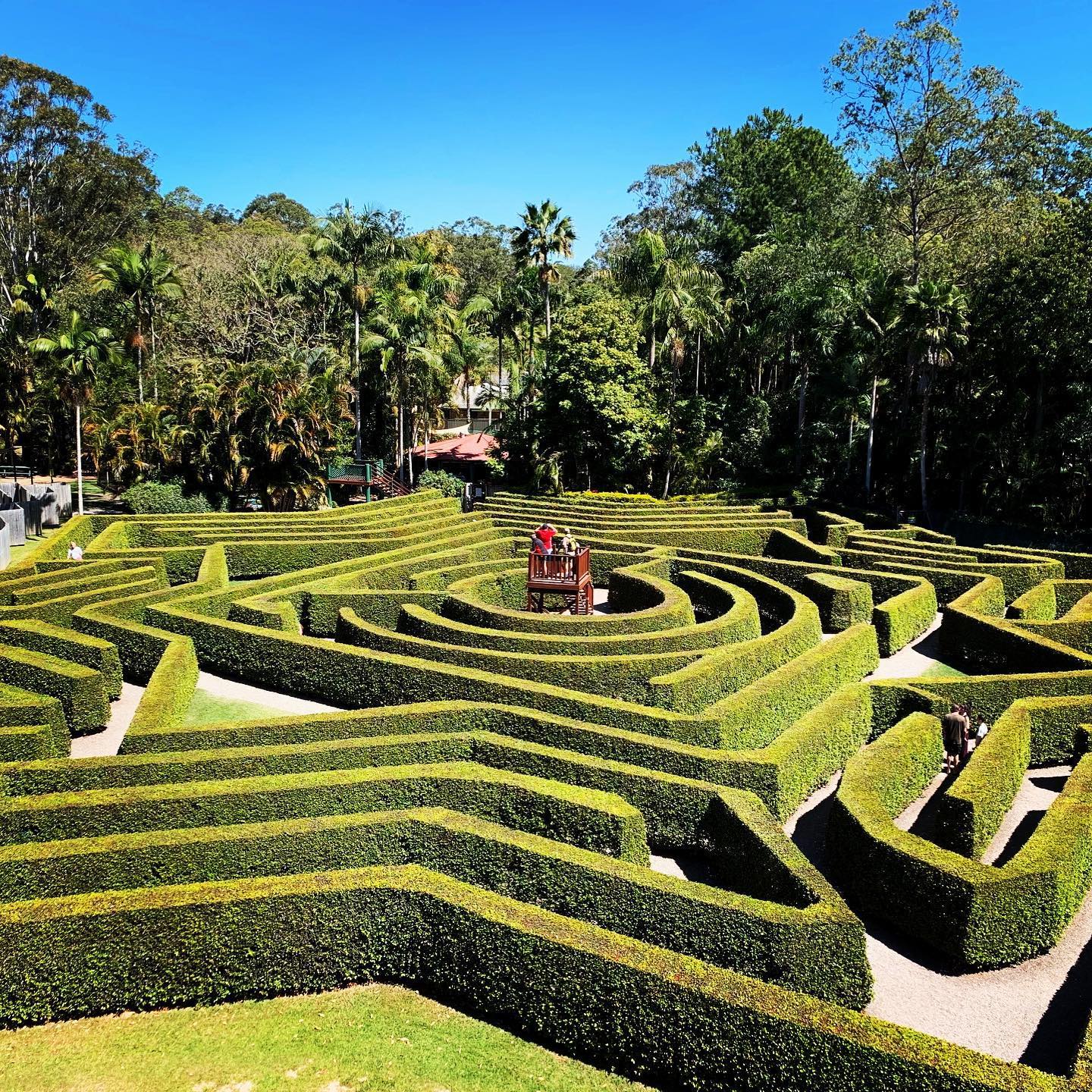 Coast in line for new rollercoaster, virtual maze and tree-top fun