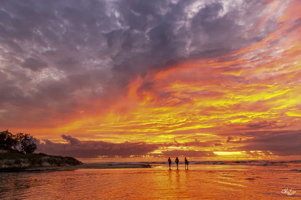 Golden opportunity: Sunshine Coast News Photo of the Day