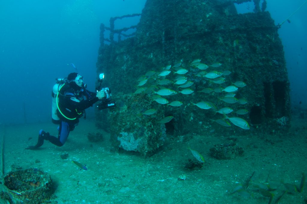 Ex-HMAS Brisbane emerges as a world-class dive site