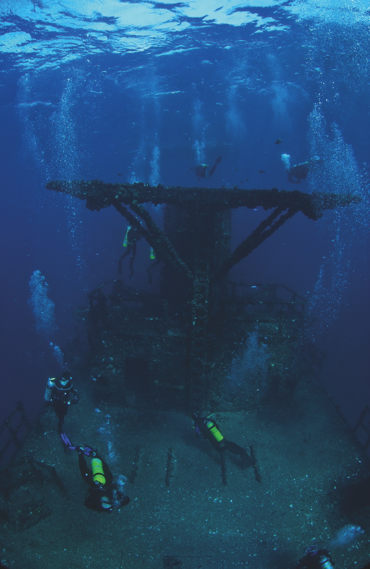 Ex-HMAS Brisbane emerges as a world-class dive site