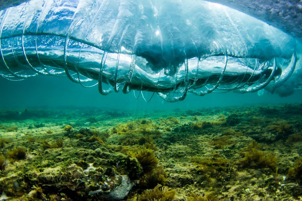 Reef vortex: Sunshine Coast News Photo of the Day