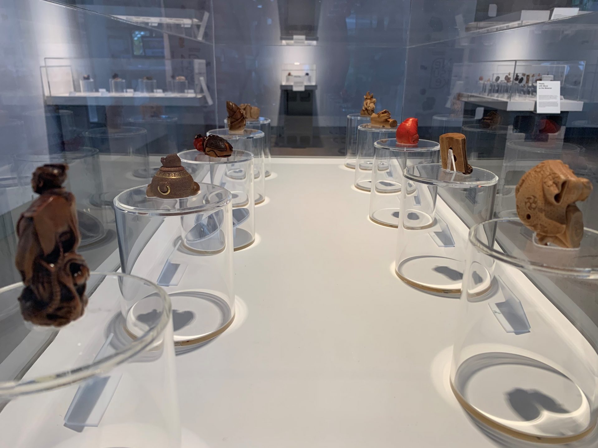 Caloundra Regional Gallery to host several exhibitions in 2021