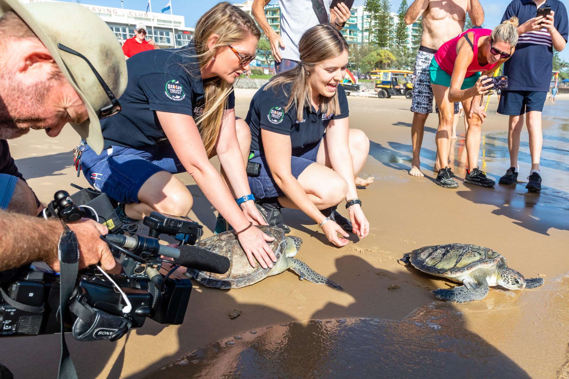Turtle rescue highlights need to protect our precious marine life