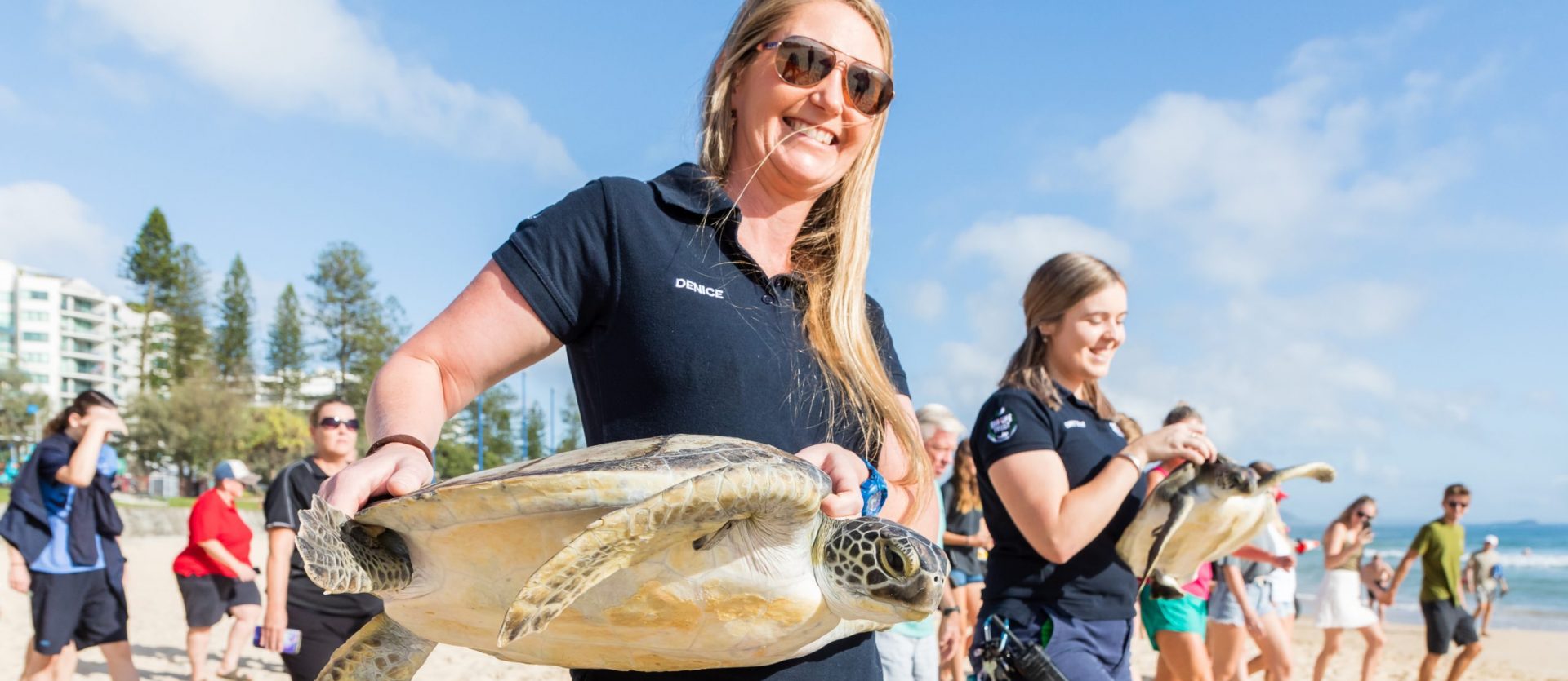 Turtle rescue highlights need to protect our precious marine life