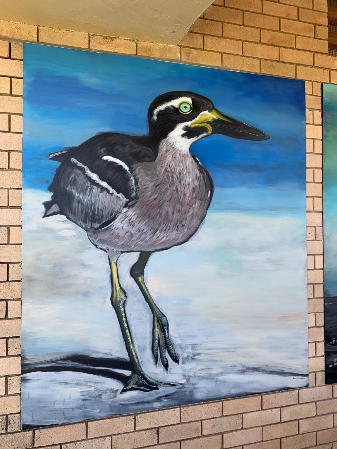 Mural raises awareness about living alongside 'precious' shorebirds