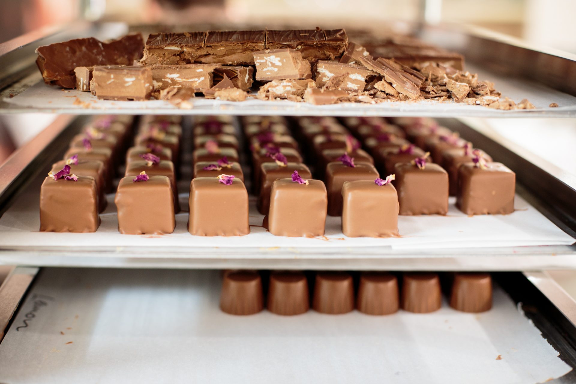 Artisan chocolatiers taste success as businesses flourish on the Coast