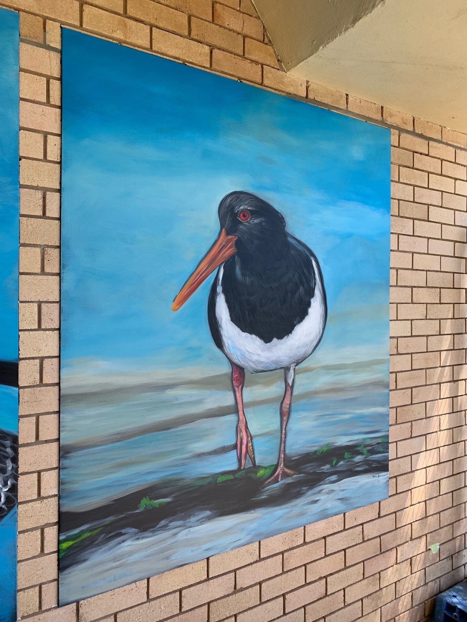 Mural raises awareness about living alongside 'precious' shorebirds
