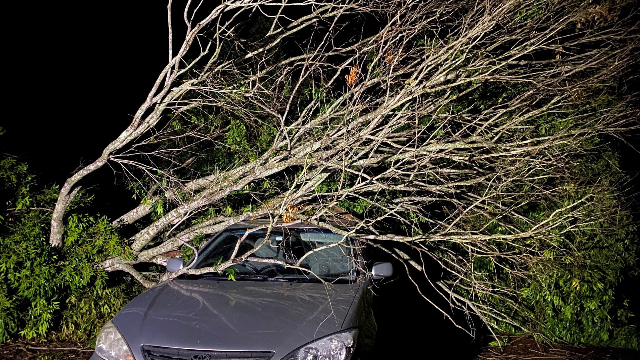 Hail pierces homes, trees fall as storm rips through