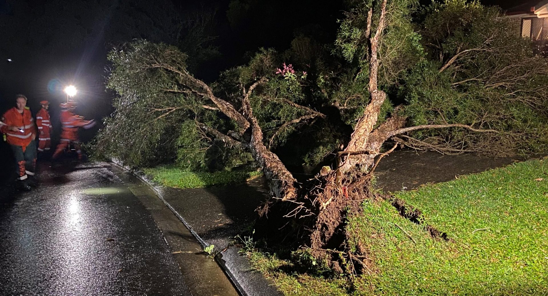 Hail pierces homes, trees fall as storm rips through