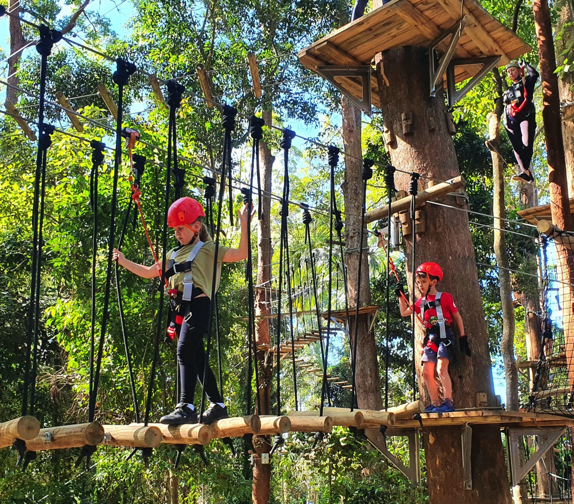 Children to reach new heights at adventure park