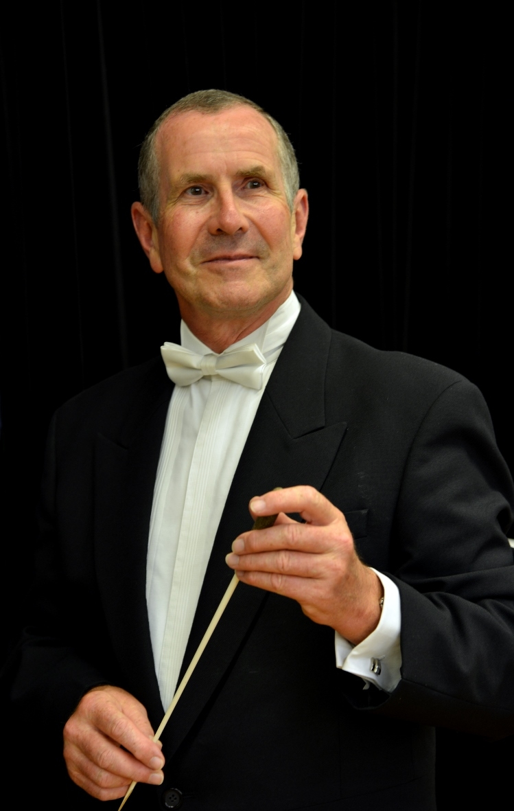 Groups to combine for largest orchestra concert on Sunshine Coast