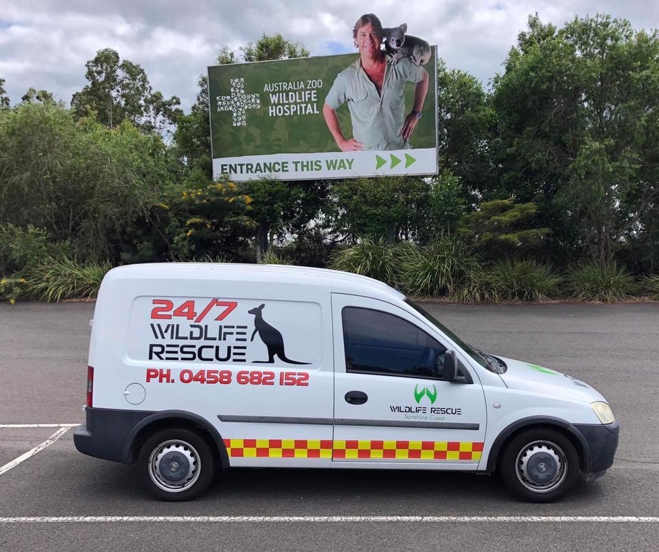 Rescuers battle to save wildlife after losing 'animal ambulance'