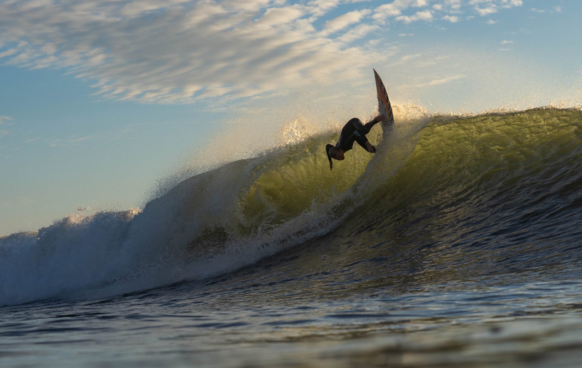 What a ripper: Sunshine Coast News Photo of the Day
