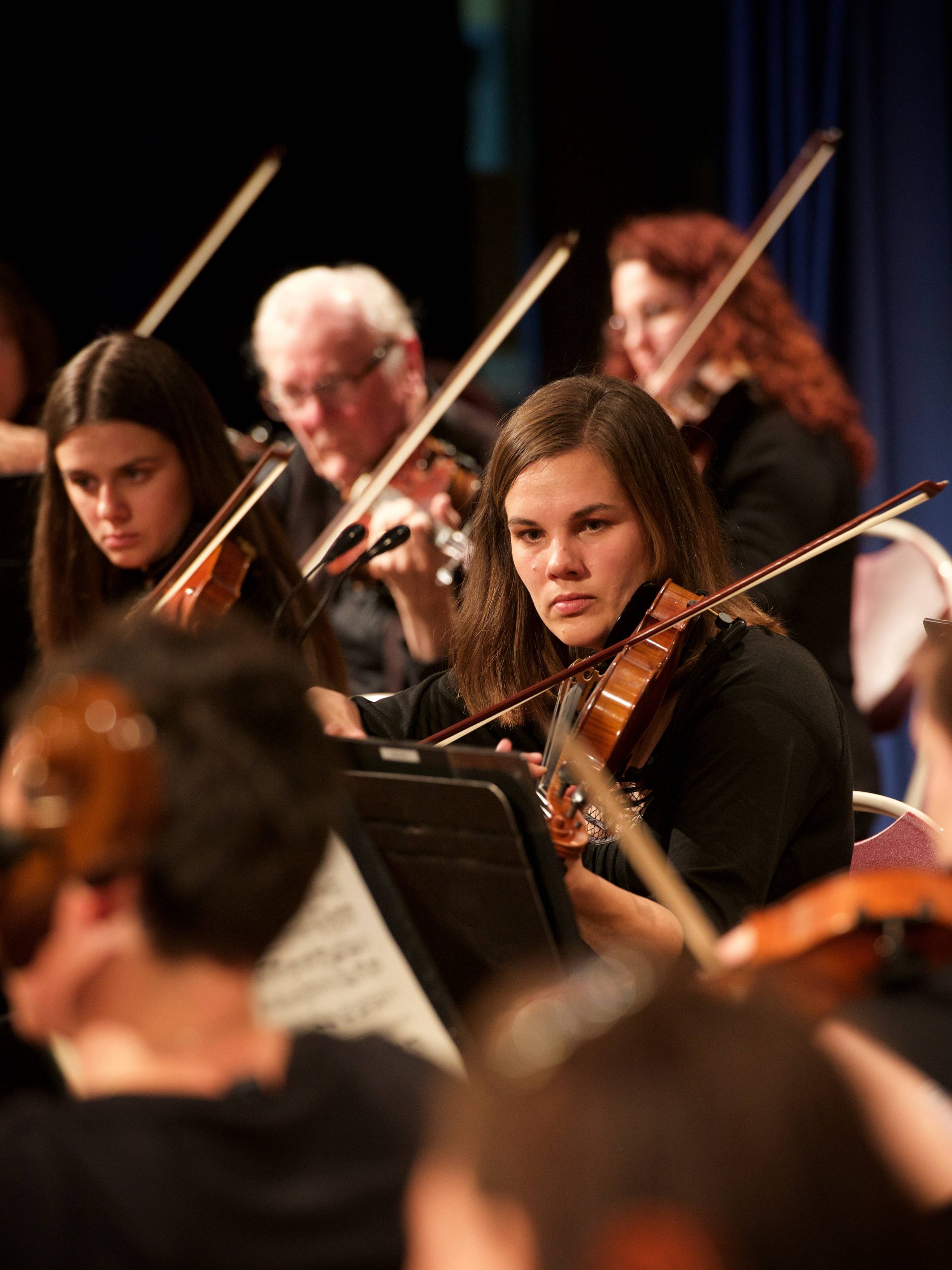 Groups to combine for largest orchestra concert on Sunshine Coast