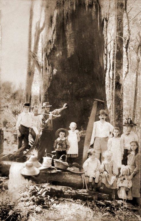 Historic photos restored: see the treasures of Buderim's past