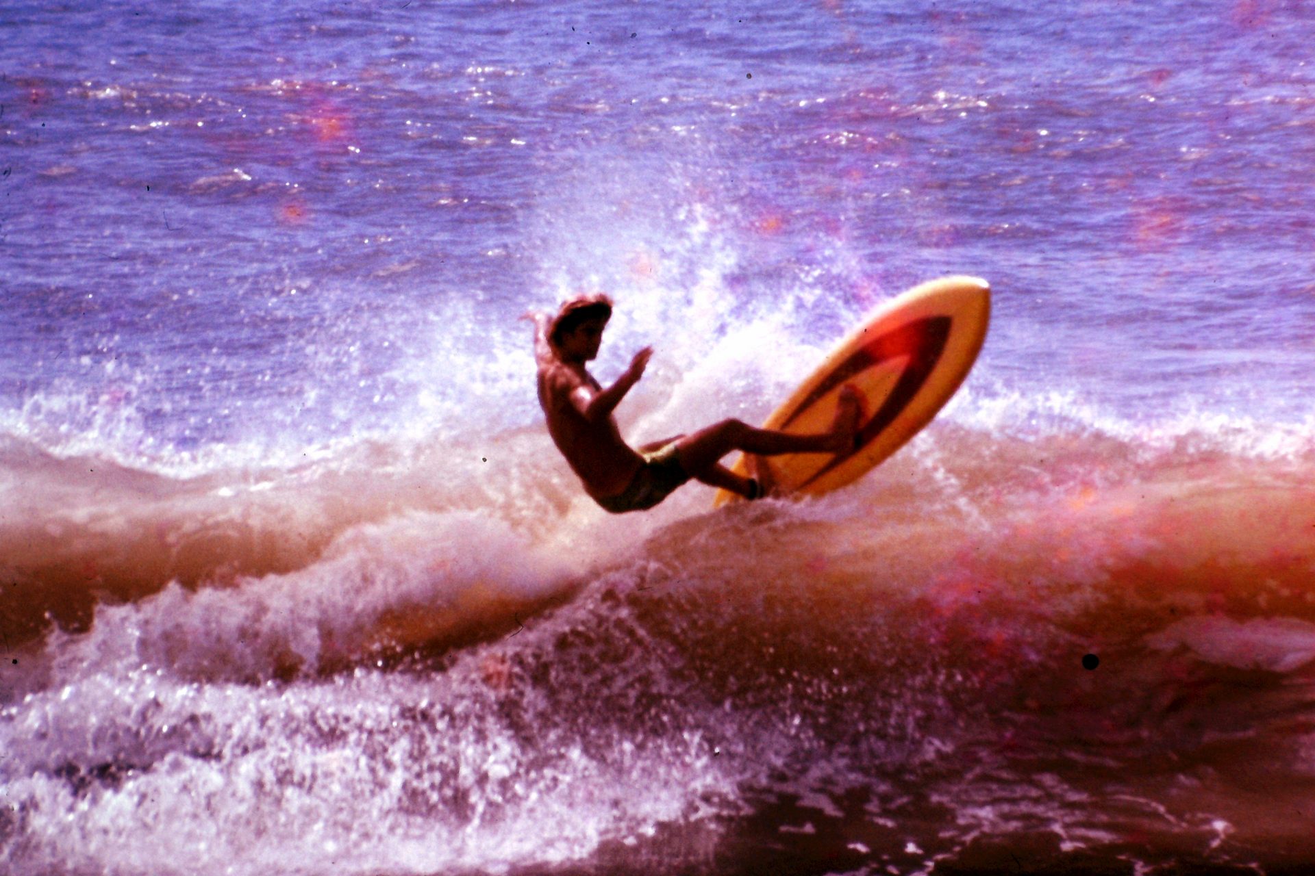 What a ride: North Shore club's half a century of beach bliss