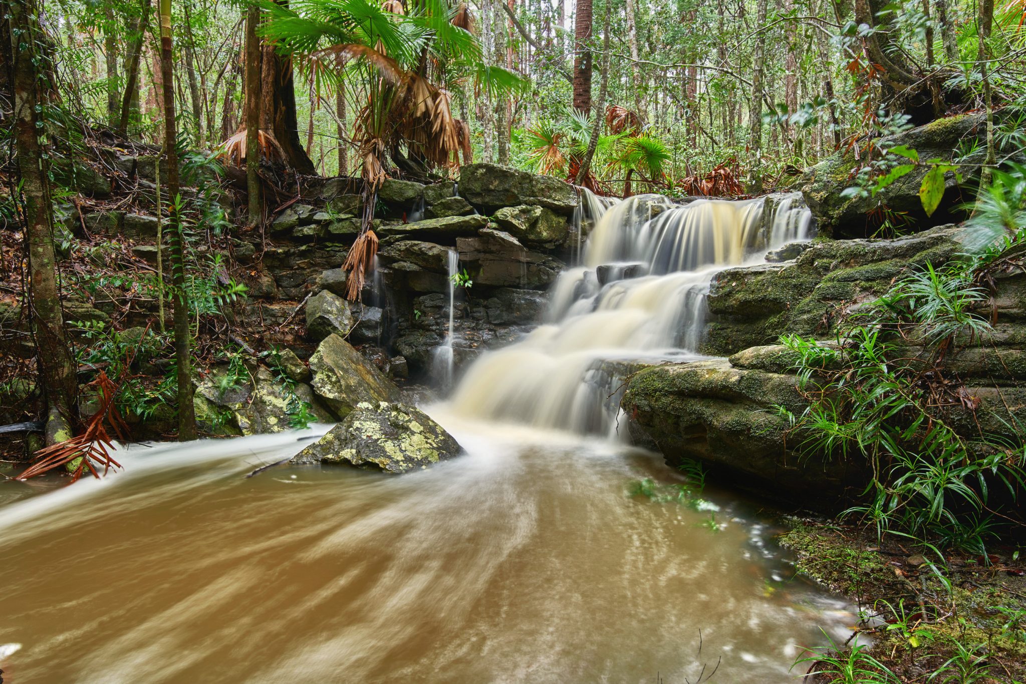Maroochy Regional Bushland Botanic Gardens