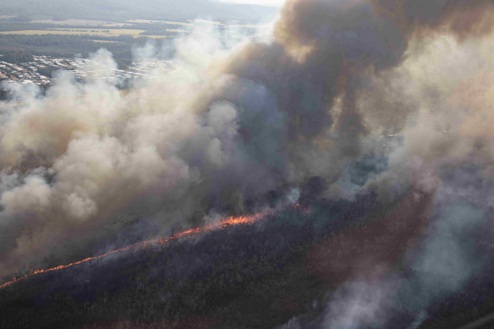 Why Sunshine Coast now has very high fire danger rating