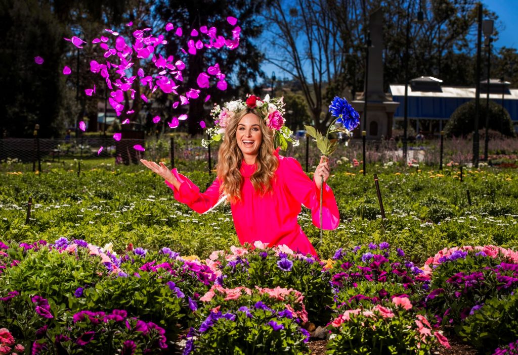 Why the Southern Downs is a bloomin' marvellous place to visit ...