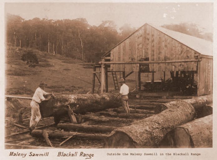 Forests, bunya feasts and bountiful rains, how the region's story began