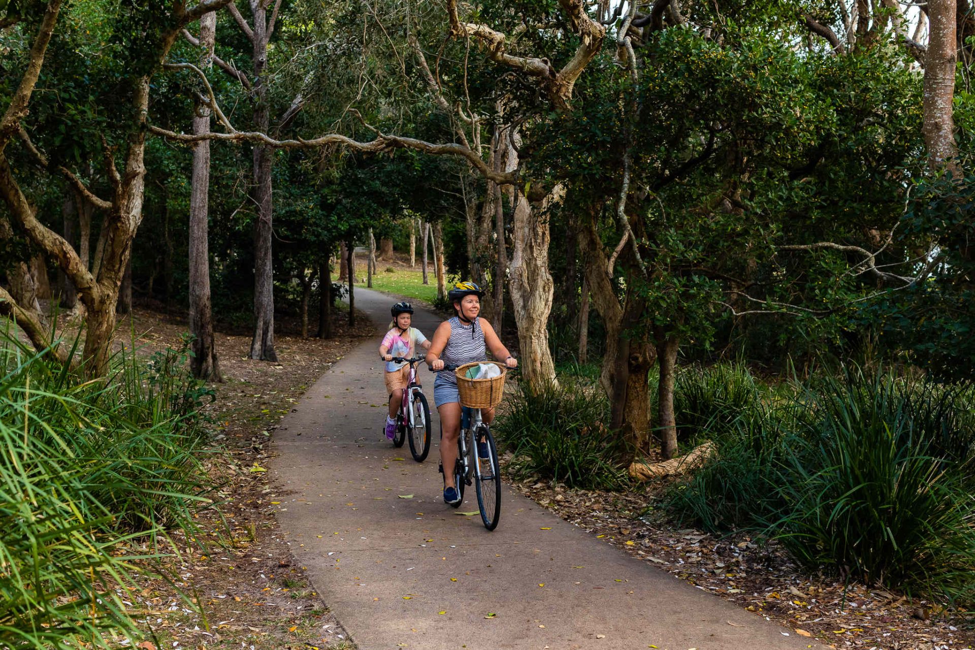 Scenic Coastal Route Set To Shine As Summer Arrives scenic-coastal-route-set-to-shine-as-summer-arrives