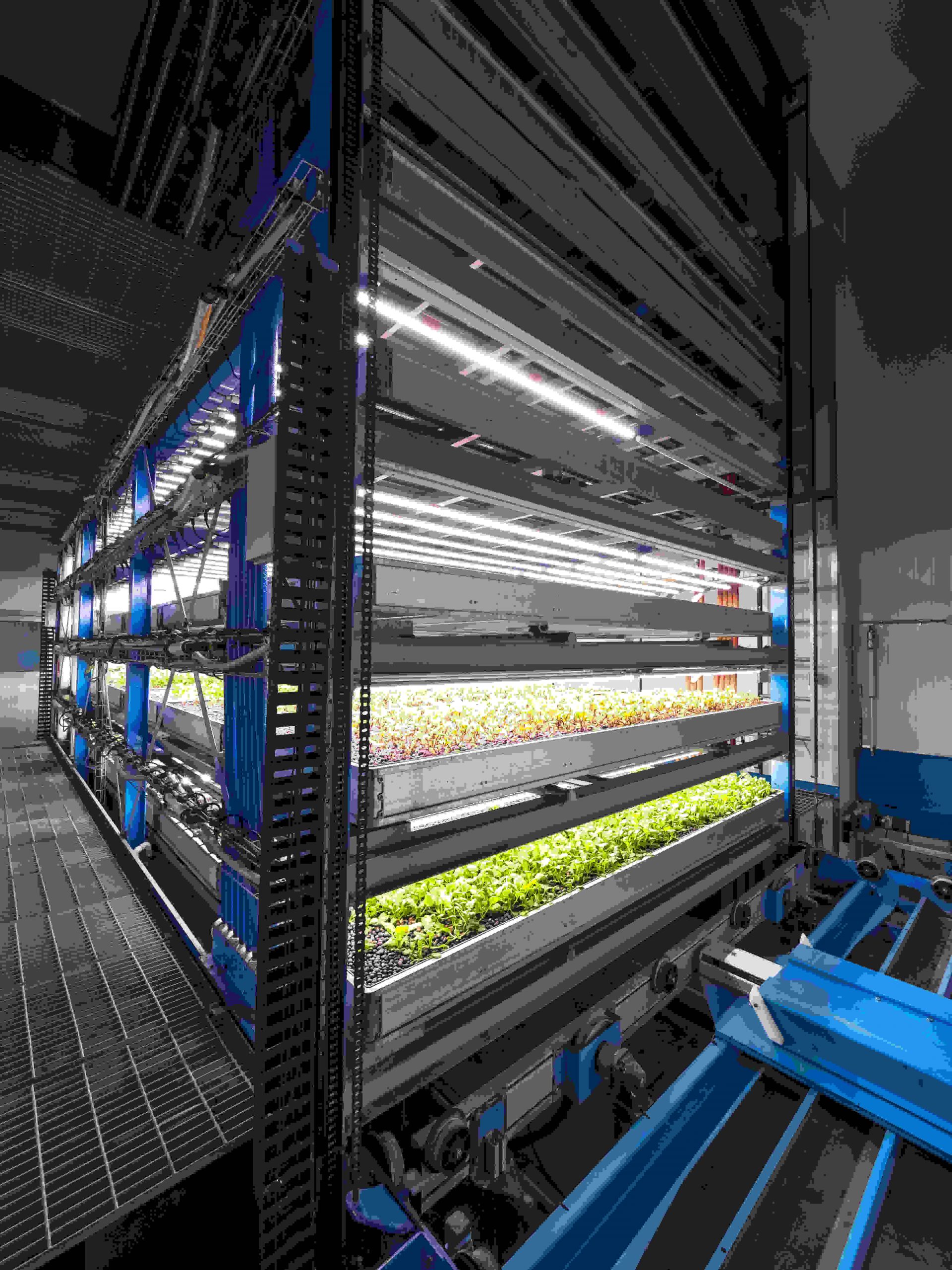 The clever Coast firm changing the way the world grows food