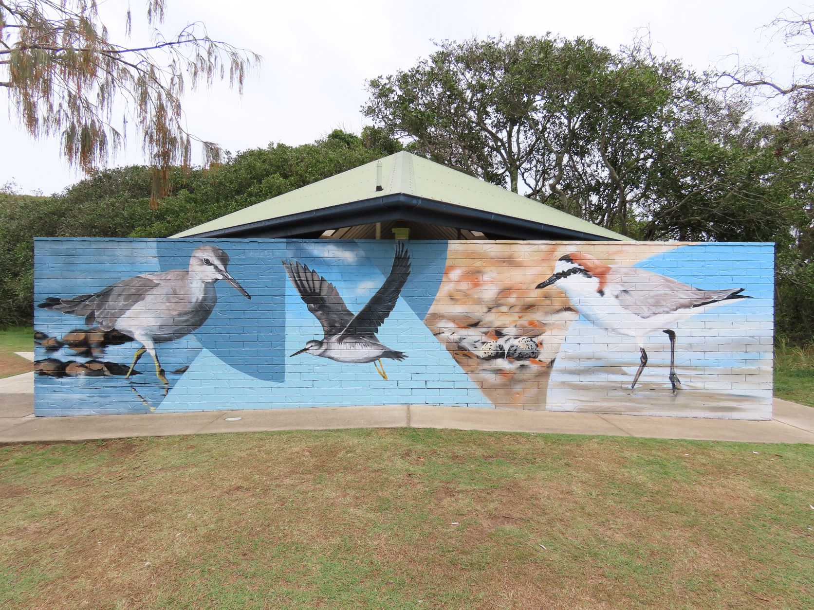 Art in motion: murals give our annual visitors wings - Sunshine Coast News