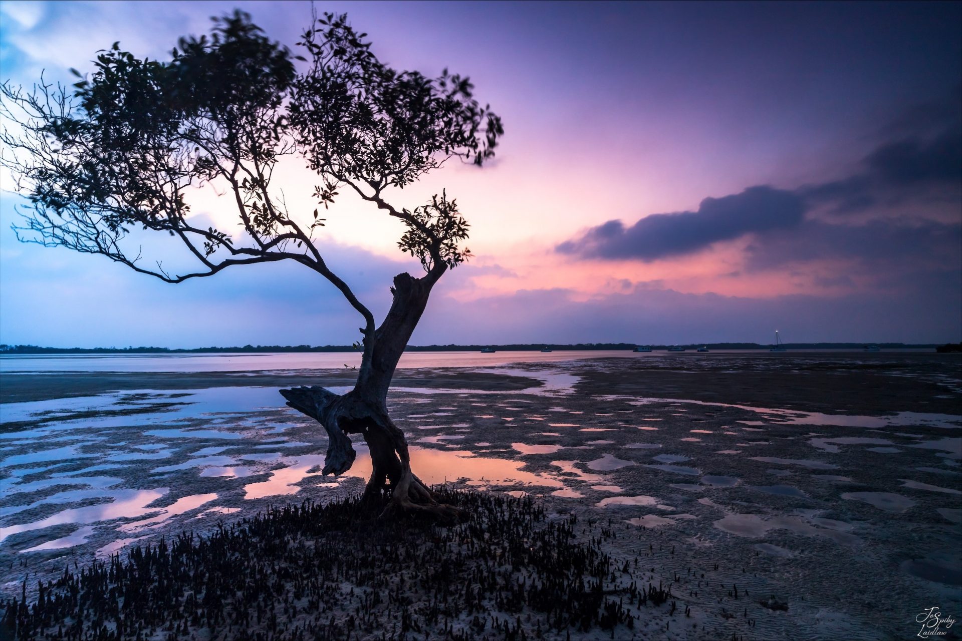 Tide's out: Sunshine Coast News Photo of the Day