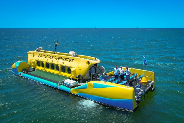 'Yellow submarine' voyage to provide thrilling gift - Sunshine Coast News