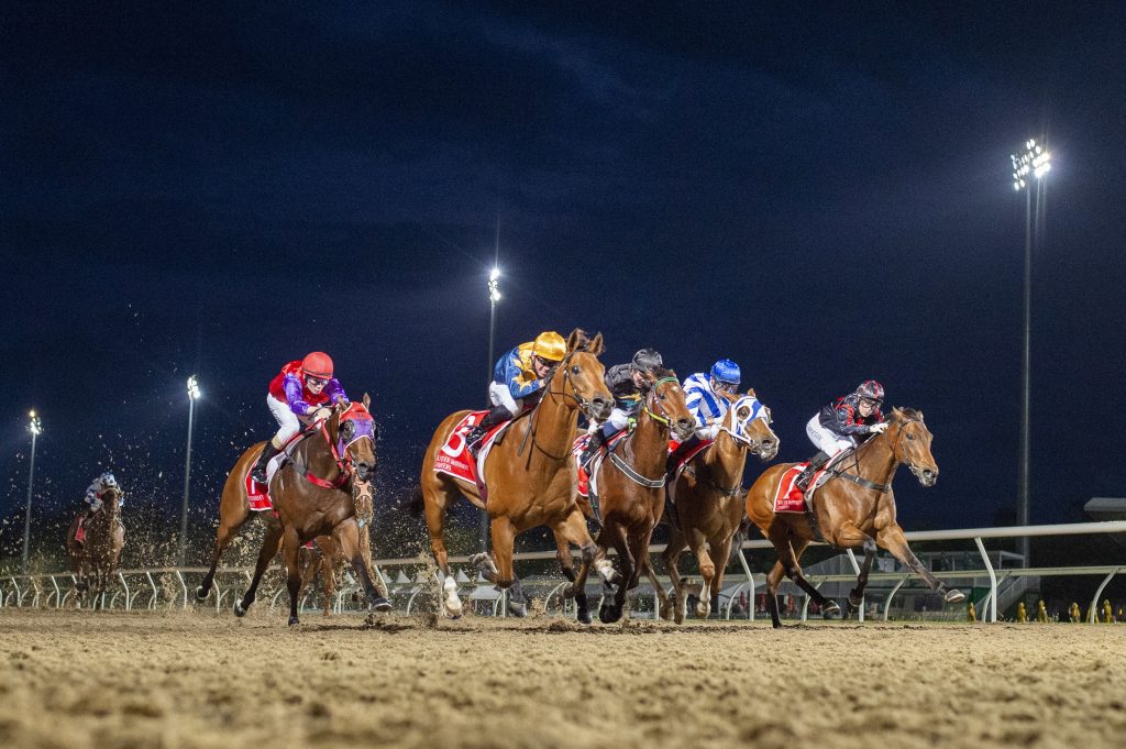 The $8.9m investment that keeps Sunshine Coast racing on track