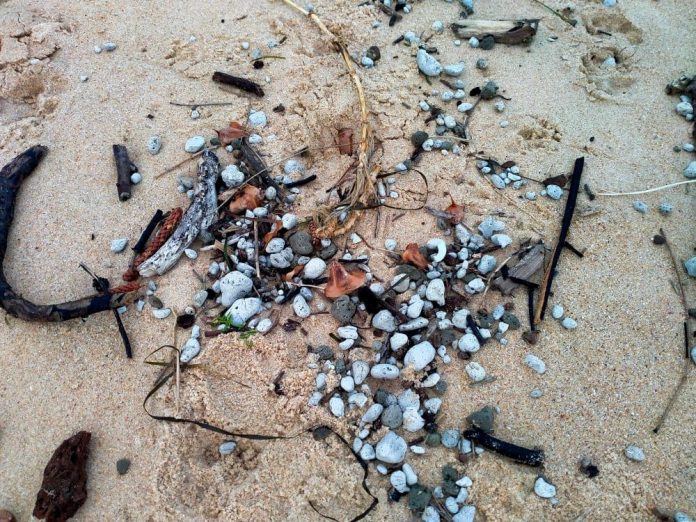The explosive story behind the pumice on our beaches