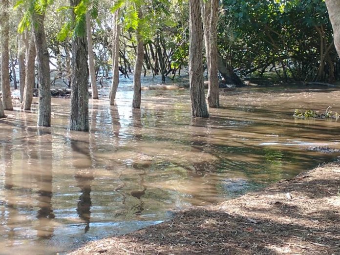 Breakthrough 'has changed tide heights, caused erosion'