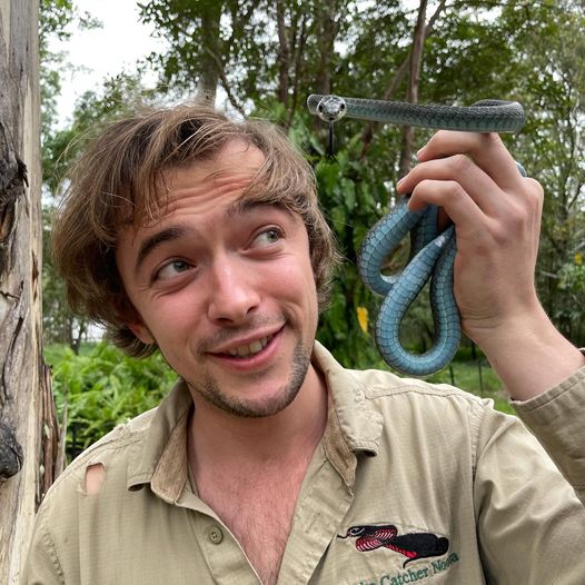 Natural beauty: meet the stunning snake 'everyone loves'