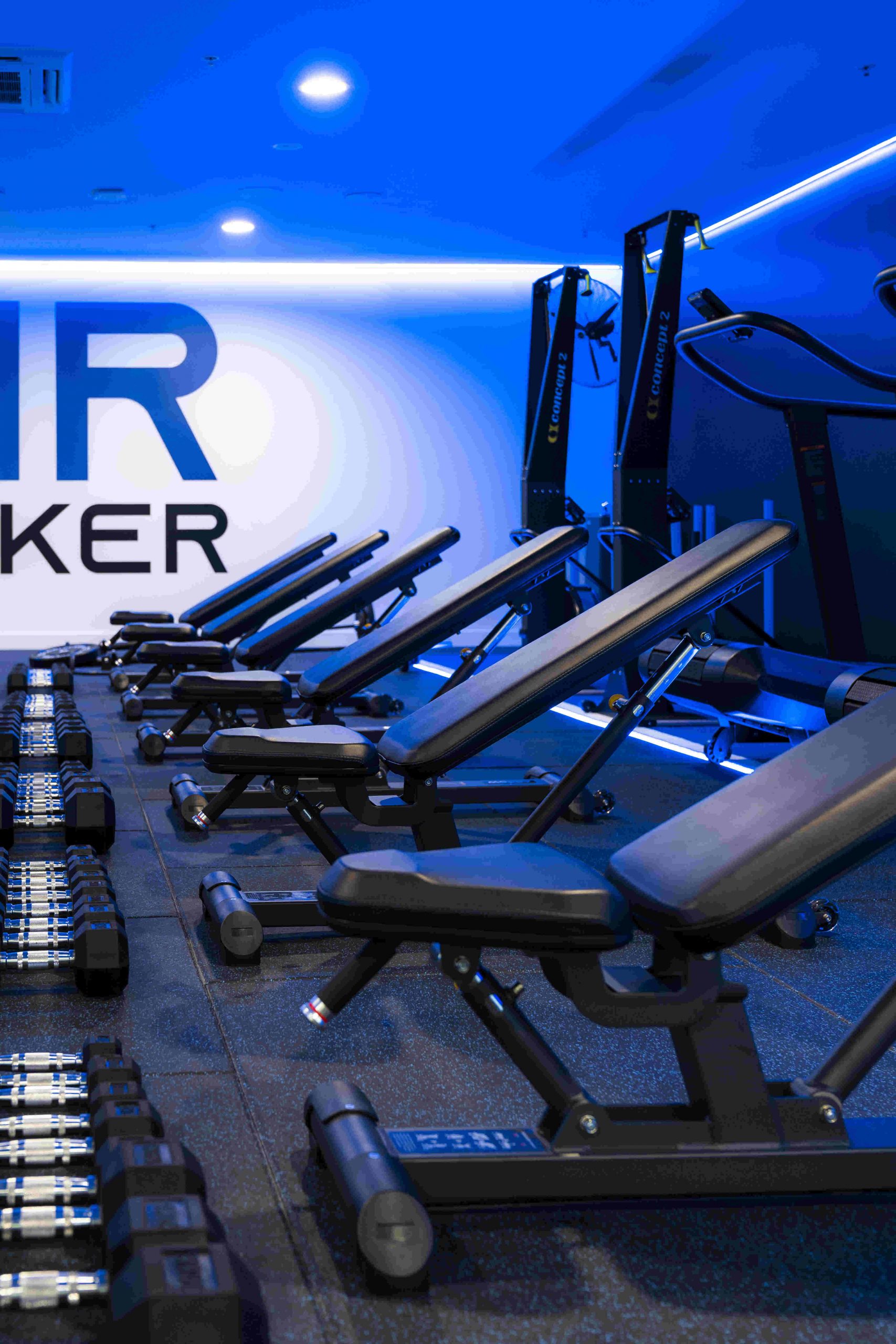 How exercise fans can climb their own own Everest at new gym