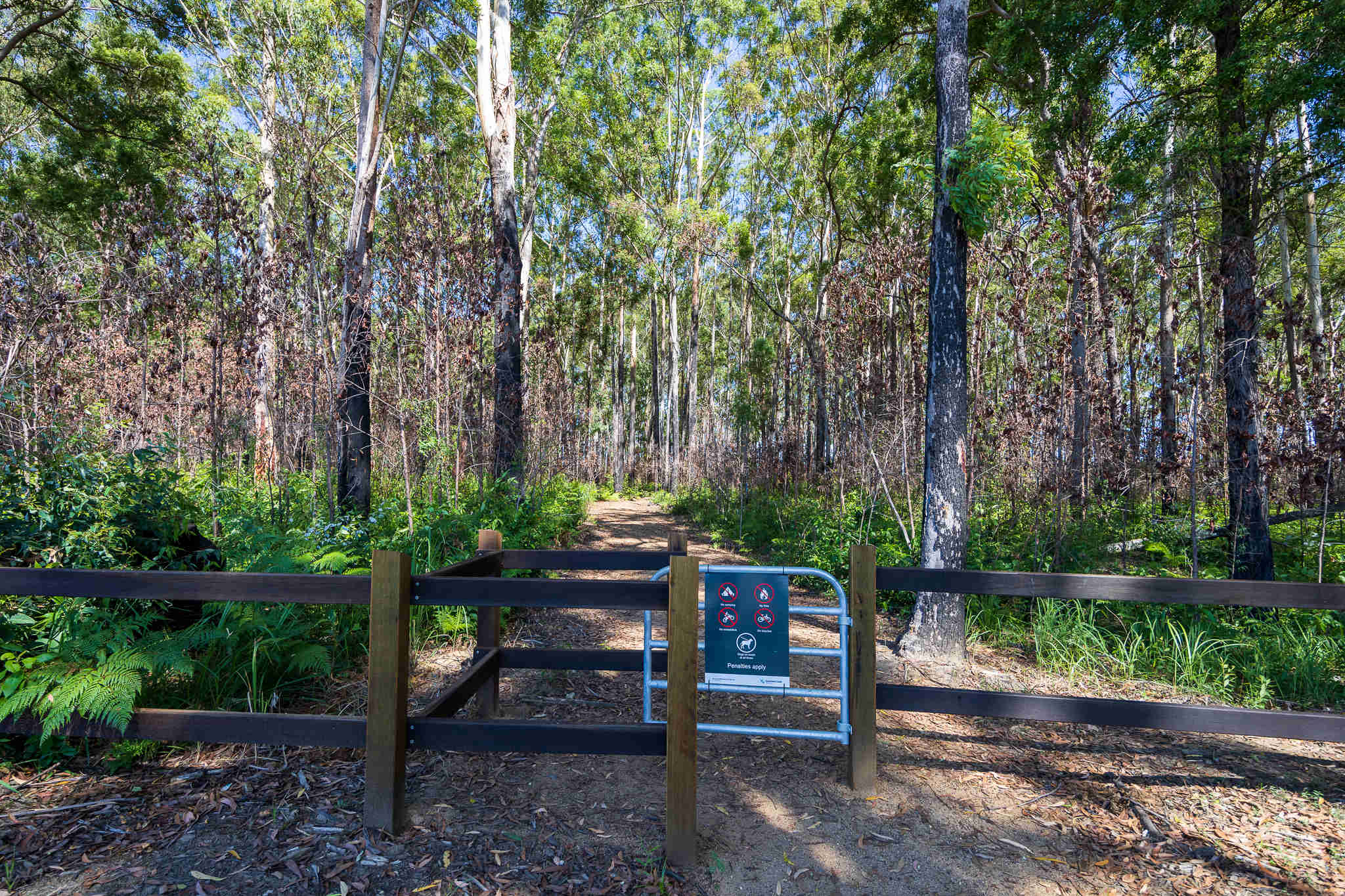 The nature-themed park that promises a soaring adventure
