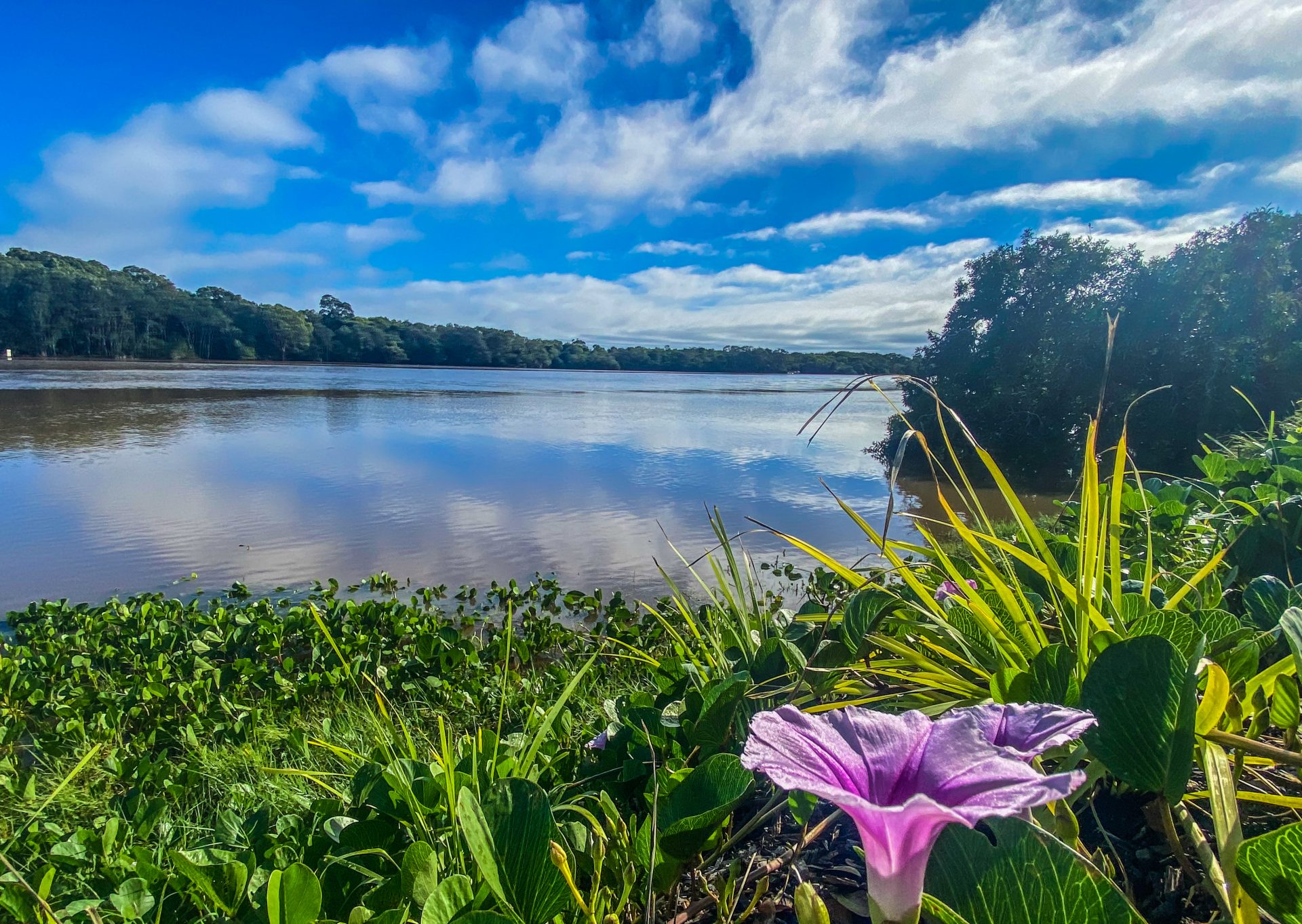 Calm after the storm: Sunshine Coast News Photo of the Day