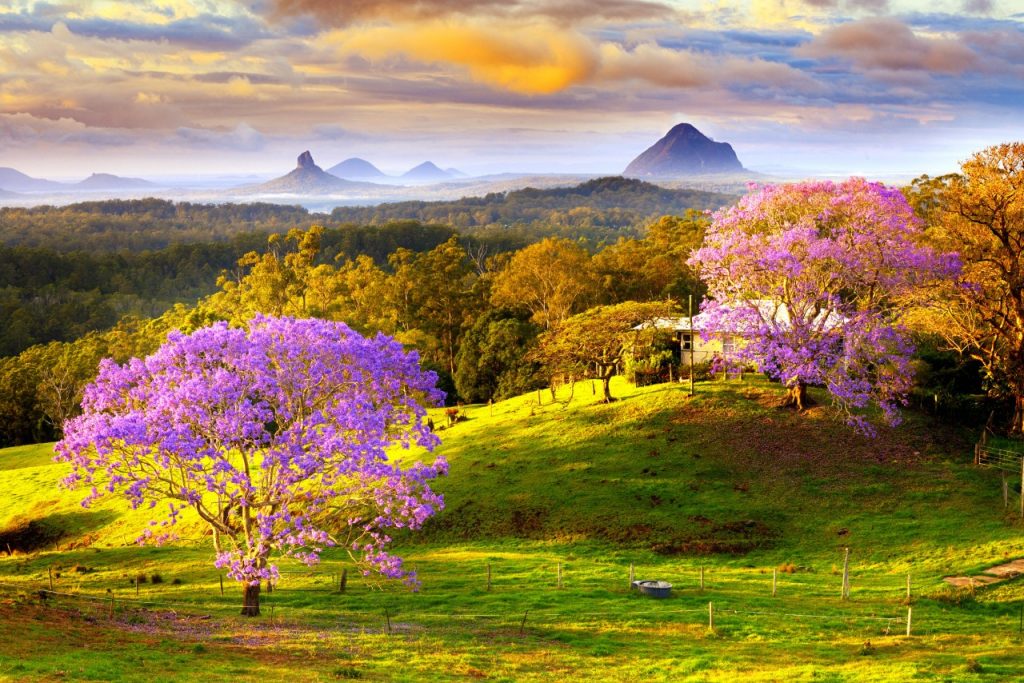 Photo gallery: artist who brings the Coast to life in vivid colour