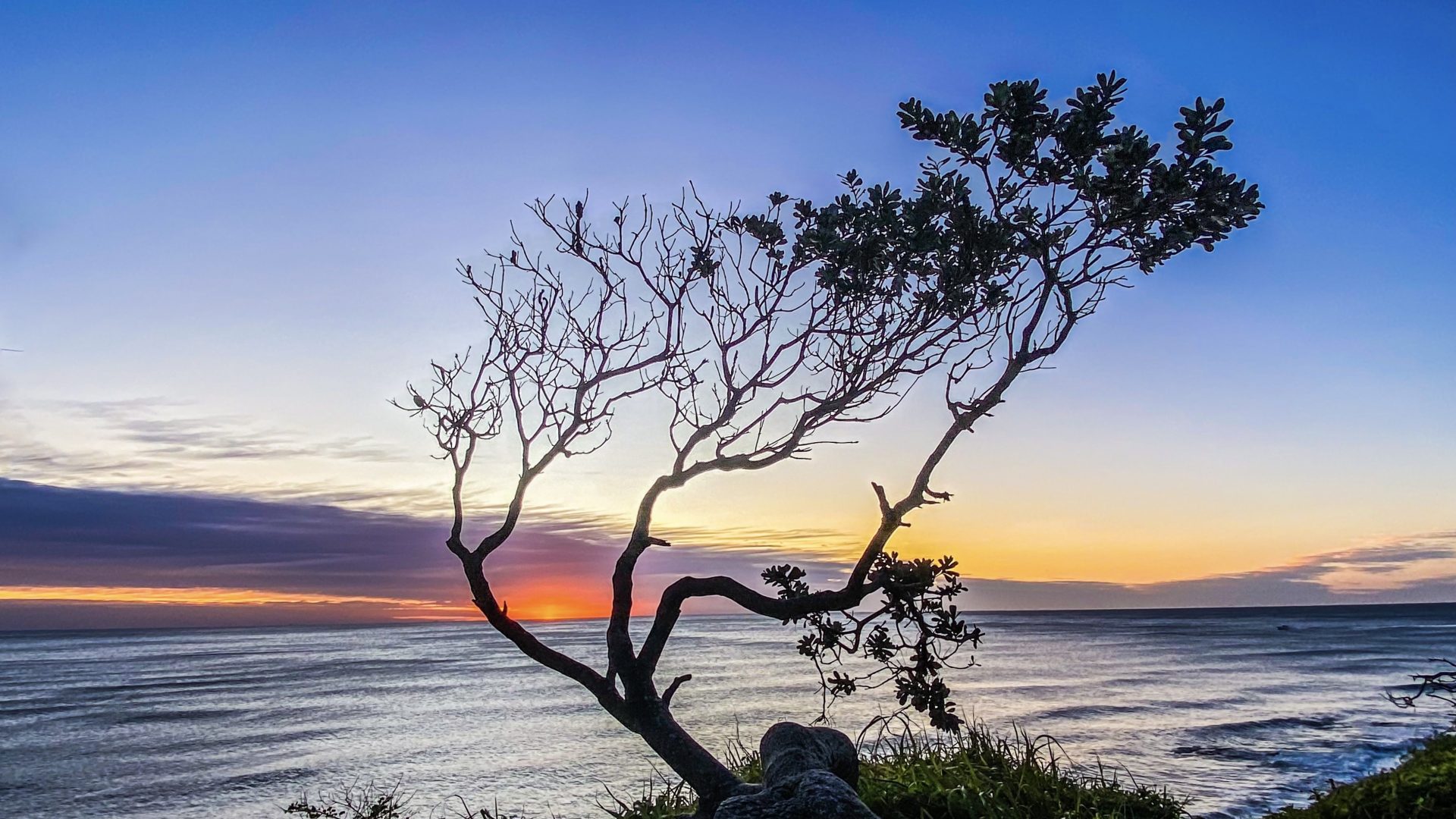 Chills and thrills: Sunshine Coast News Photo of the Day