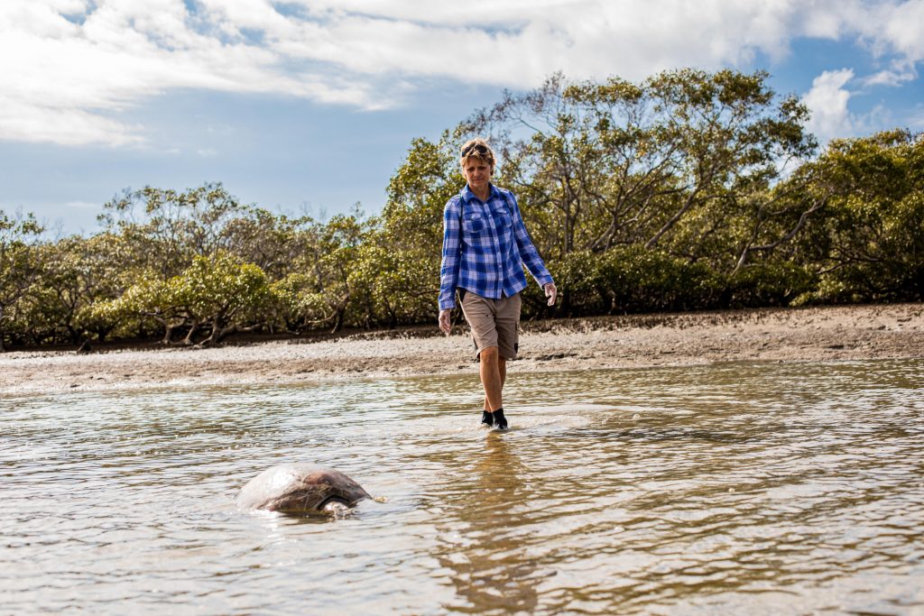 How a mystery disease and floods have impacted marine turtles