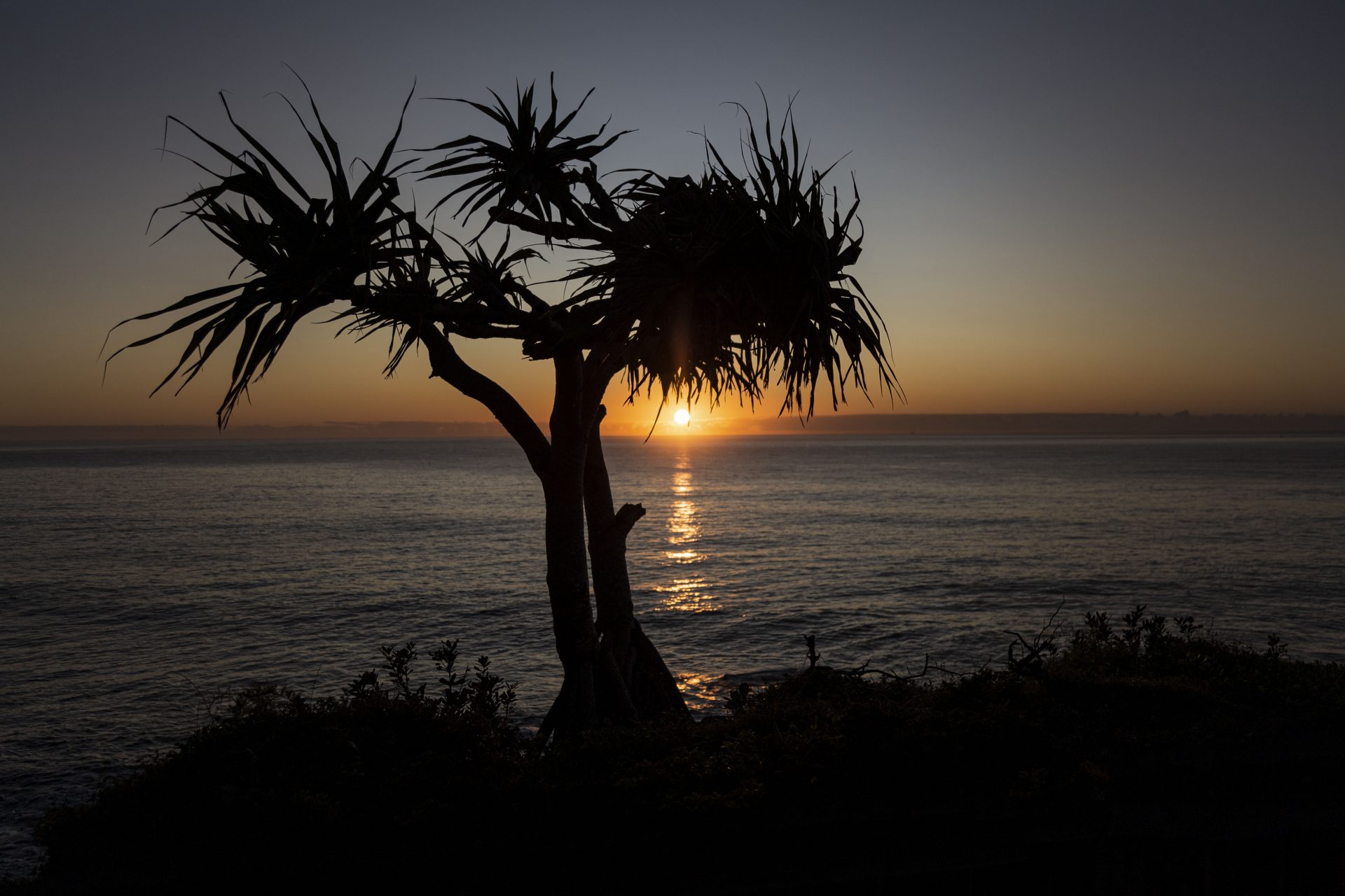 Point Arkwright sunrise: Sunshine Coast News Photo of the Day