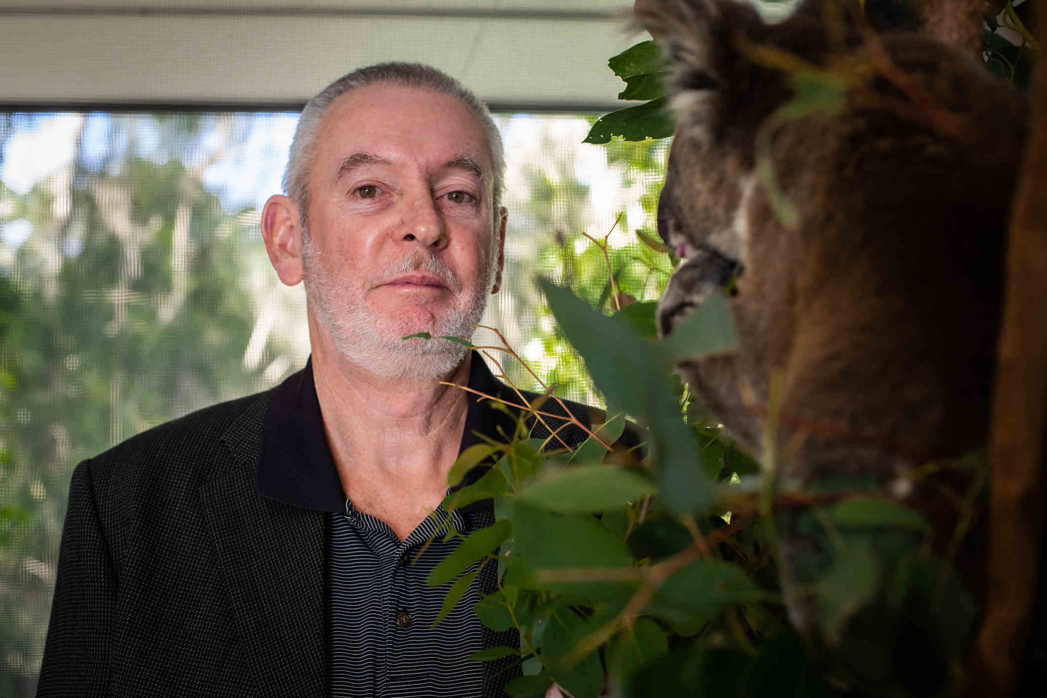 'Great' effort: USC professor fights to save an Aussie icon