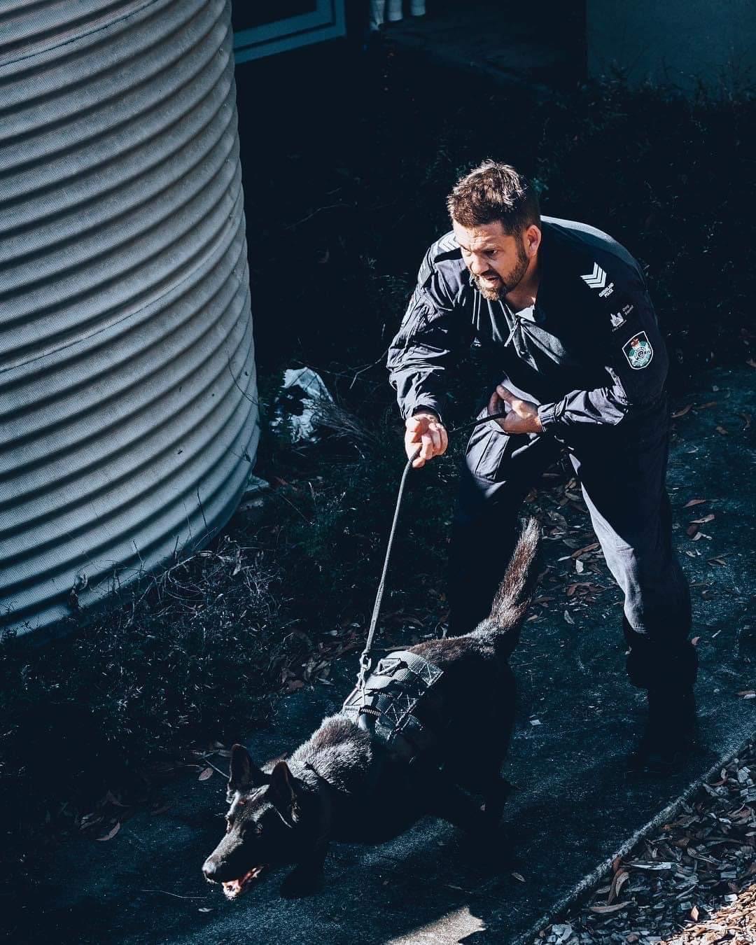 How hairy heroes have been loyal allies for half a century