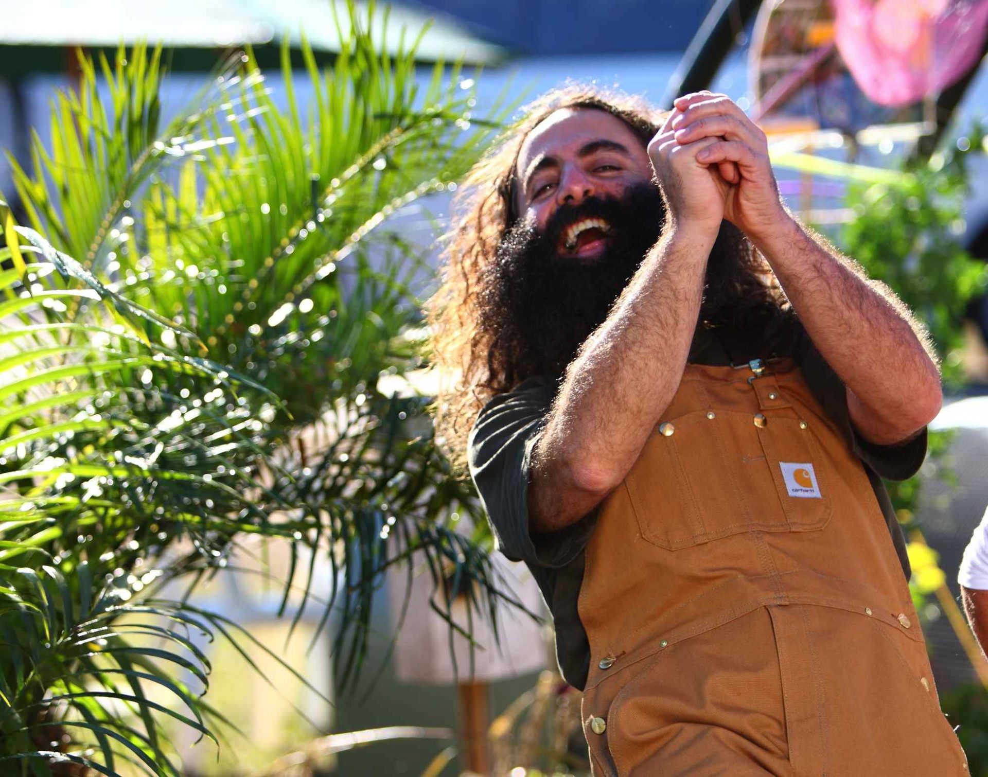 Garden expo delights: from edible weeds to soggy soil remedies