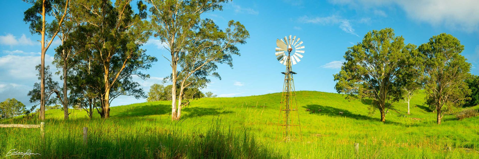 West of Woombye: Sunshine Coast News Photo of the Day
