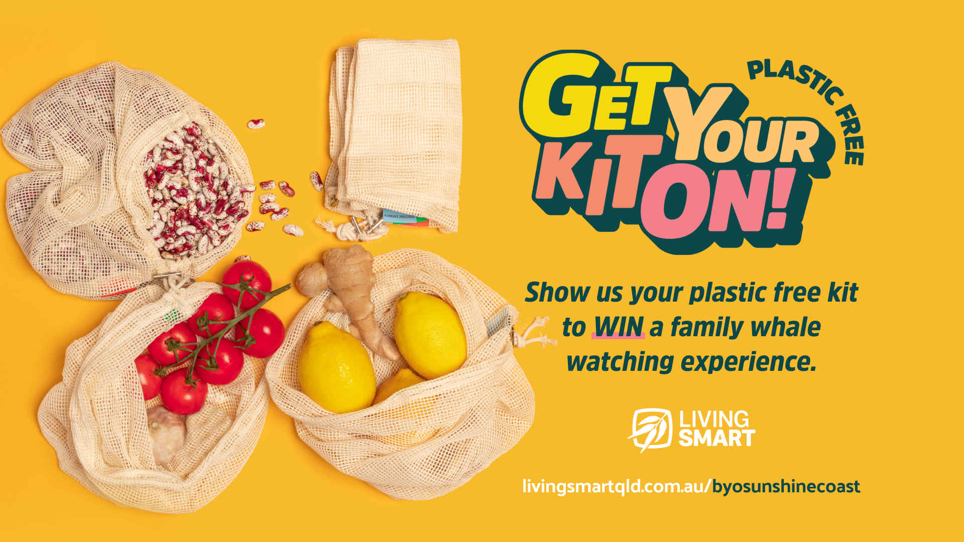 Your chance to reduce pollution and have a whale of a time