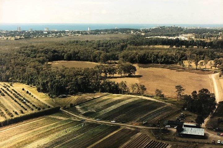 Your say: farm sale, car museum and more