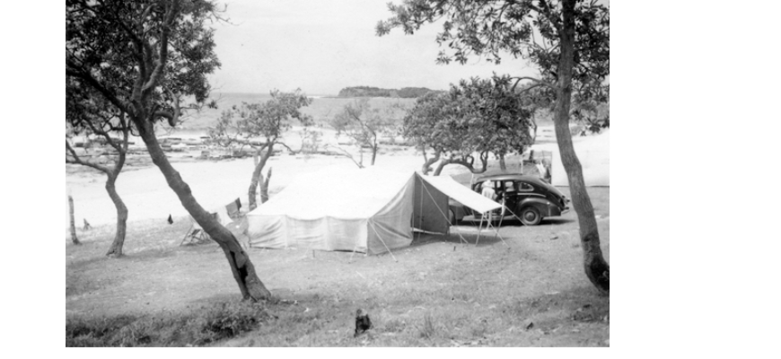 Sand castles, sharks and Seal Park: unfamiliar tales of the old days