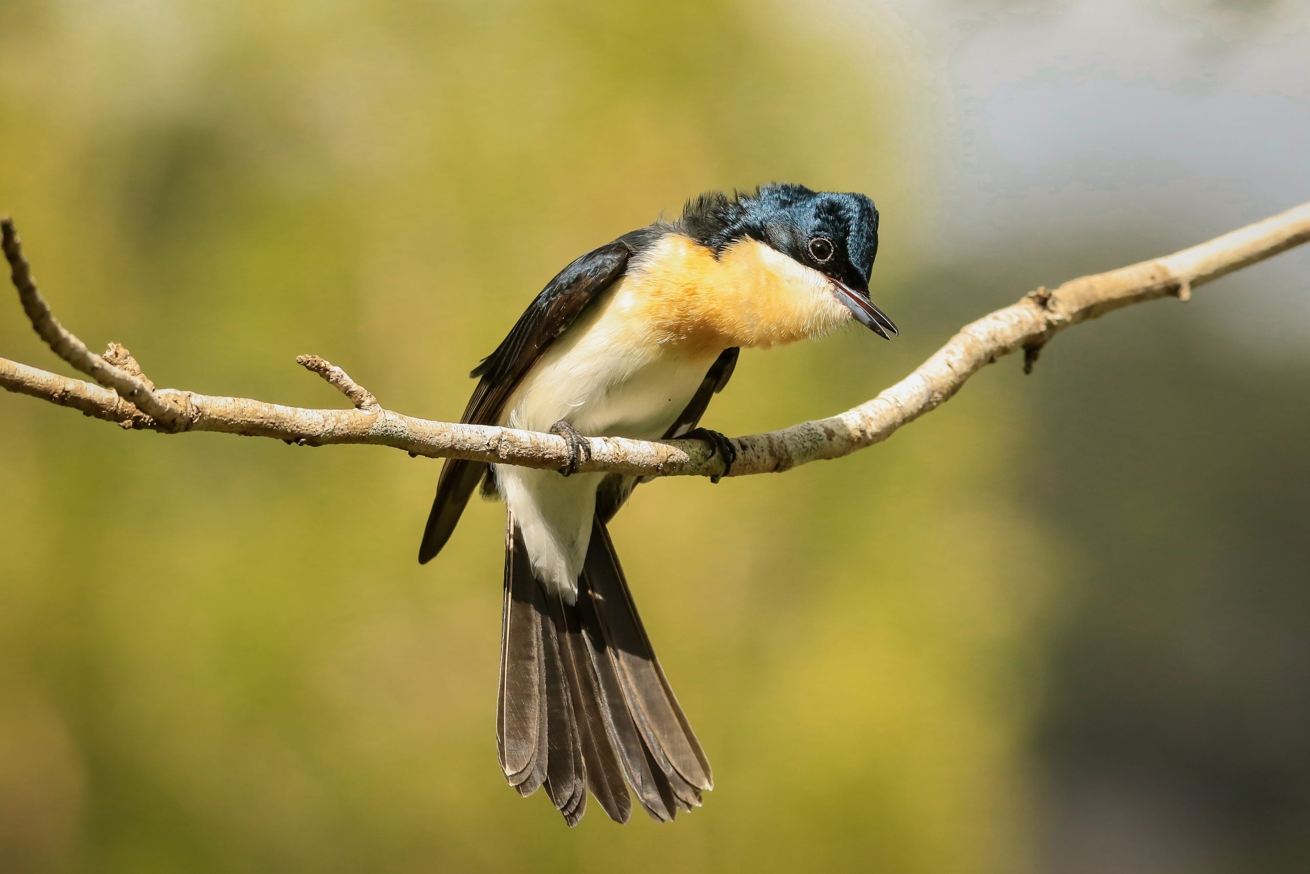 Your pictures celebrate the biosphere we call home